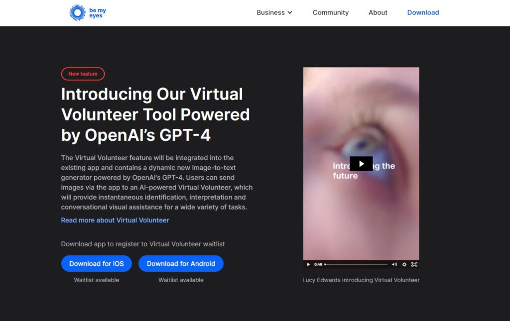 Be My Eyes - The Patternist